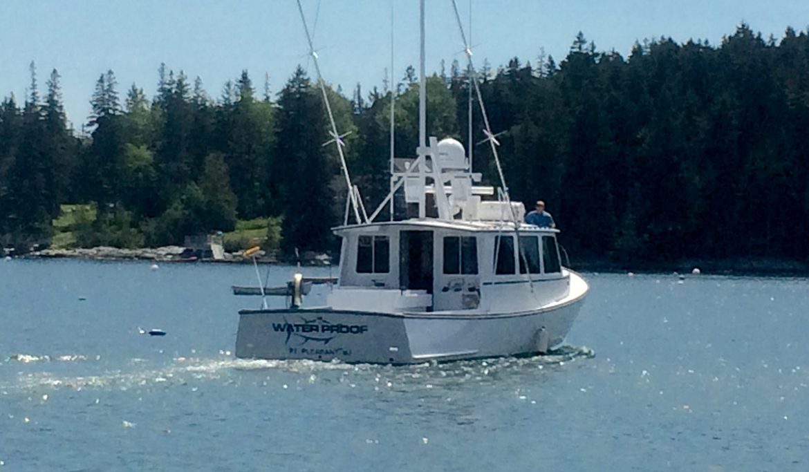 Volvo Penta D11 Running Smoothly After Five Years - Johnson & Towers